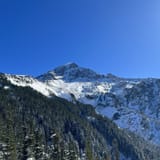 McNeil Point Trail, Oregon - 2,755 Reviews, Map | AllTrails