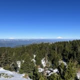 McNeil Point Trail, Oregon - 2,755 Reviews, Map | AllTrails