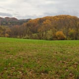 Cheslen Preserve via Embreeville Road, Pennsylvania - 540 Reviews, Map ...