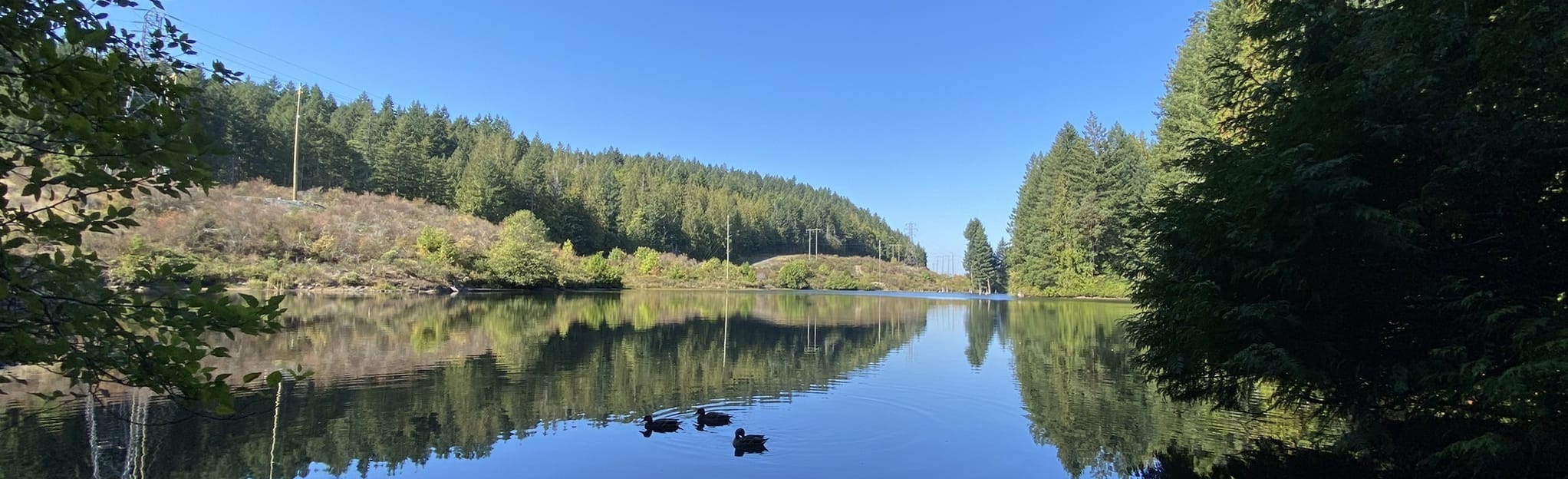 Rocky Knoll, Beaver Pond, Morrell Lake, and Alder Trail Loop, British ...