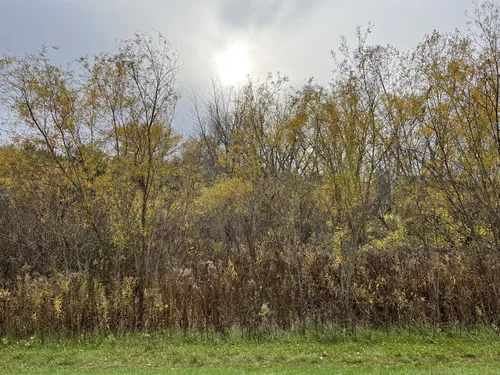 Best River Trails in Kickapoo Valley Reserve | AllTrails