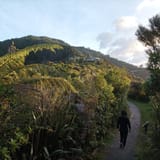 Karaka Point Walk, Marlborough, New Zealand - 18 Reviews, Map | AllTrails