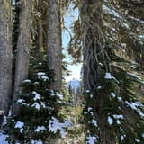 Myrtle Falls Viewpoint via Skyline Trail, Washington - 3,772 Reviews ...