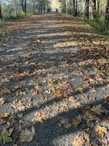 Best Hikes and Trails in Three Forks Park | AllTrails