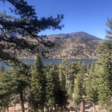 June Lake Loop Trail, California - 364 Reviews, Map | AllTrails