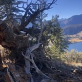 June Lake Loop Trail, California - 364 Reviews, Map | AllTrails