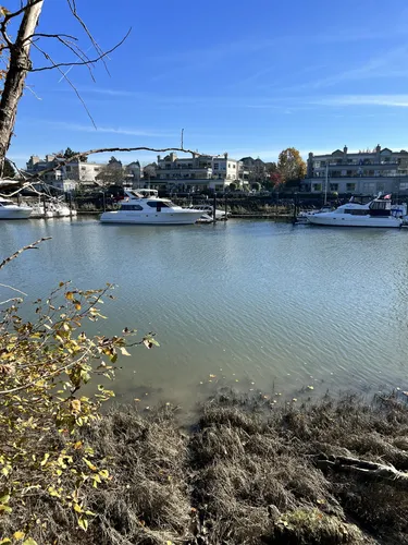 Best Hikes and Trails in Ladner Harbour Park | AllTrails