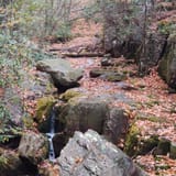 Riprap Trail , Virginia - 1,478 Reviews, Map | AllTrails