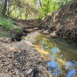 Green Ridge Trail, Texas - 1,055 Reviews, Map | AllTrails