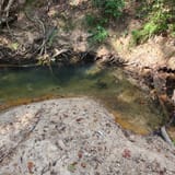 Green Ridge Trail, Texas - 1,055 Reviews, Map | AllTrails