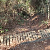 Green Ridge Trail, Texas - 1,055 Reviews, Map | AllTrails