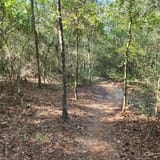 Green Ridge Trail, Texas - 1,055 Reviews, Map | AllTrails