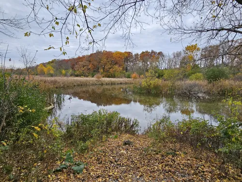 2023 Best Lake Trails in Delafield | AllTrails