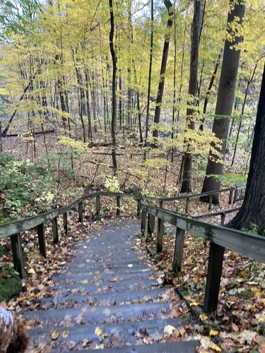 Best Hikes and Trails in Warren Woods State Park | AllTrails