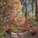 See Spring Trail, Arizona - 677 Reviews, Map | AllTrails