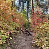 See Spring Trail, Arizona - 677 Reviews, Map | AllTrails