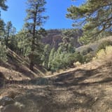 Red Mountain Trail, Arizona - 823 Reviews, Map | AllTrails