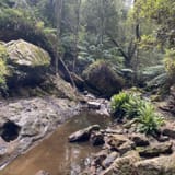 Redwater Creek Falls Walk, Tasmania, Australia - 59 Reviews, Map ...