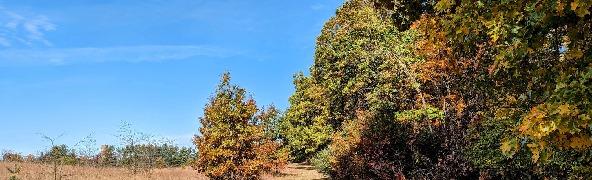 Heritage Park Loop, Michigan - 55 Reviews, Map | AllTrails