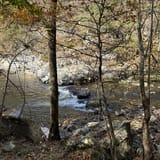 Laurel River Trail, North Carolina - 1,310 Reviews, Map | AllTrails