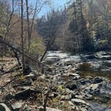 Laurel River Trail, North Carolina - 1,310 Reviews, Map | AllTrails