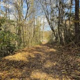 Laurel River Trail, North Carolina - 1,310 Reviews, Map | AllTrails