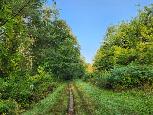 Best Hikes and Trails in Dover | AllTrails