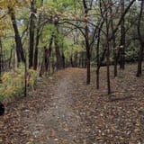 Elk River Hiking Trail, Kansas - 664 Reviews, Map | AllTrails