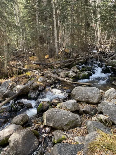 Best Backpacking Trails in Great Basin National Park | AllTrails