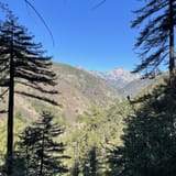 Pine Ridge and Post Creek Trail, California - 366 Reviews, Map | AllTrails