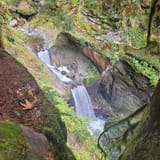 Racehorse Falls Trail, Washington - 433 Reviews, Map | AllTrails
