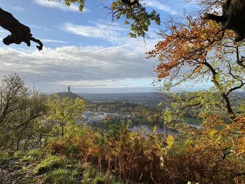 Best Forest Trails in Dunblane | AllTrails