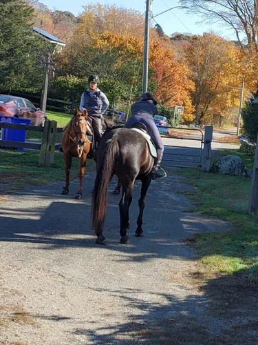 Best Hikes and Trails in Haley Farm State Park | AllTrails