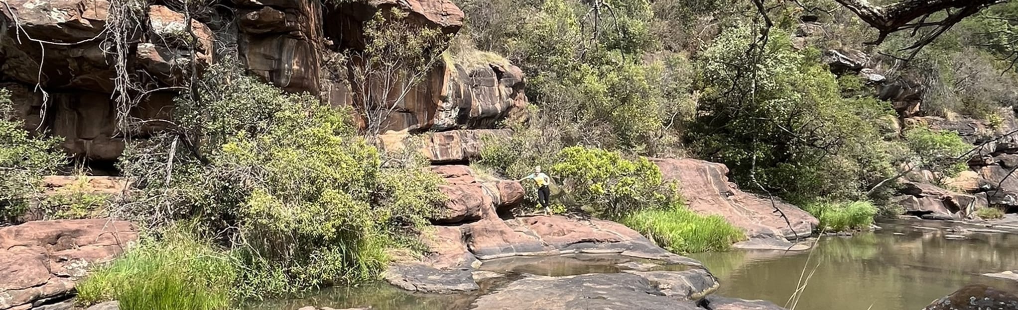 Muningi Gorge, Gauteng, South Africa - 106 Reviews, Map | AllTrails