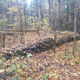 Cosby Nature Trail, Tennessee - 550 Reviews, Map | AllTrails