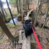 Lower Hadlock Pond Loop Trail, Maine - 597 Reviews, Map | AllTrails