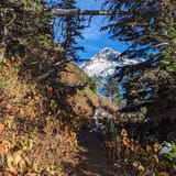 Bald Mountain from Lolo Pass Trail, Oregon - 1,749 Reviews, Map | AllTrails