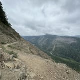 Bald Mountain from Lolo Pass Trail, Oregon - 1,731 Reviews, Map | AllTrails