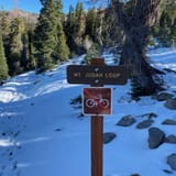Mount Judah Loop Trail, California - 2,333 Reviews, Map | AllTrails