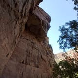 Parsons Trail, Arizona - 738 Reviews, Map | AllTrails