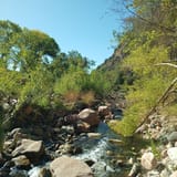Parsons Trail, Arizona - 738 Reviews, Map | AllTrails