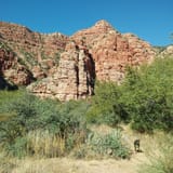 Parsons Trail, Arizona - 738 Reviews, Map | AllTrails