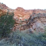 Parsons Trail, Arizona - 657 Reviews, Map | AllTrails