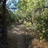 Parsons Trail, Arizona - 738 Reviews, Map | AllTrails
