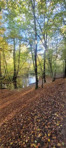 Best Historic Site Trails in Sachsenwald | AllTrails