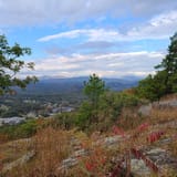 Hackensack Mountain Loop, New York - 503 Reviews, Map | AllTrails