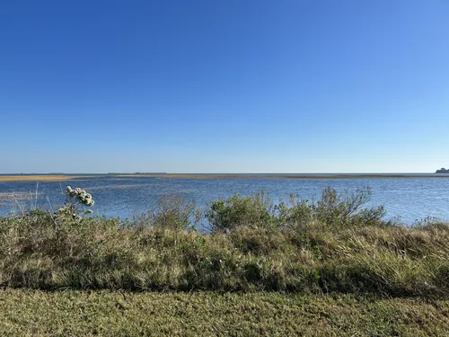 Best Hikes and Trails in Magothy Bay Natural Area Reserve | AllTrails