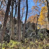 Dripping Rock South via Appalachian Trail, Virginia - 696 Reviews, Map ...
