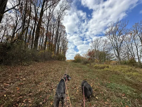 2023 Best Lake Trails in Hunt Valley | AllTrails