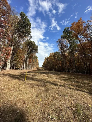 2023 Best Lake Trails in Hunt Valley | AllTrails